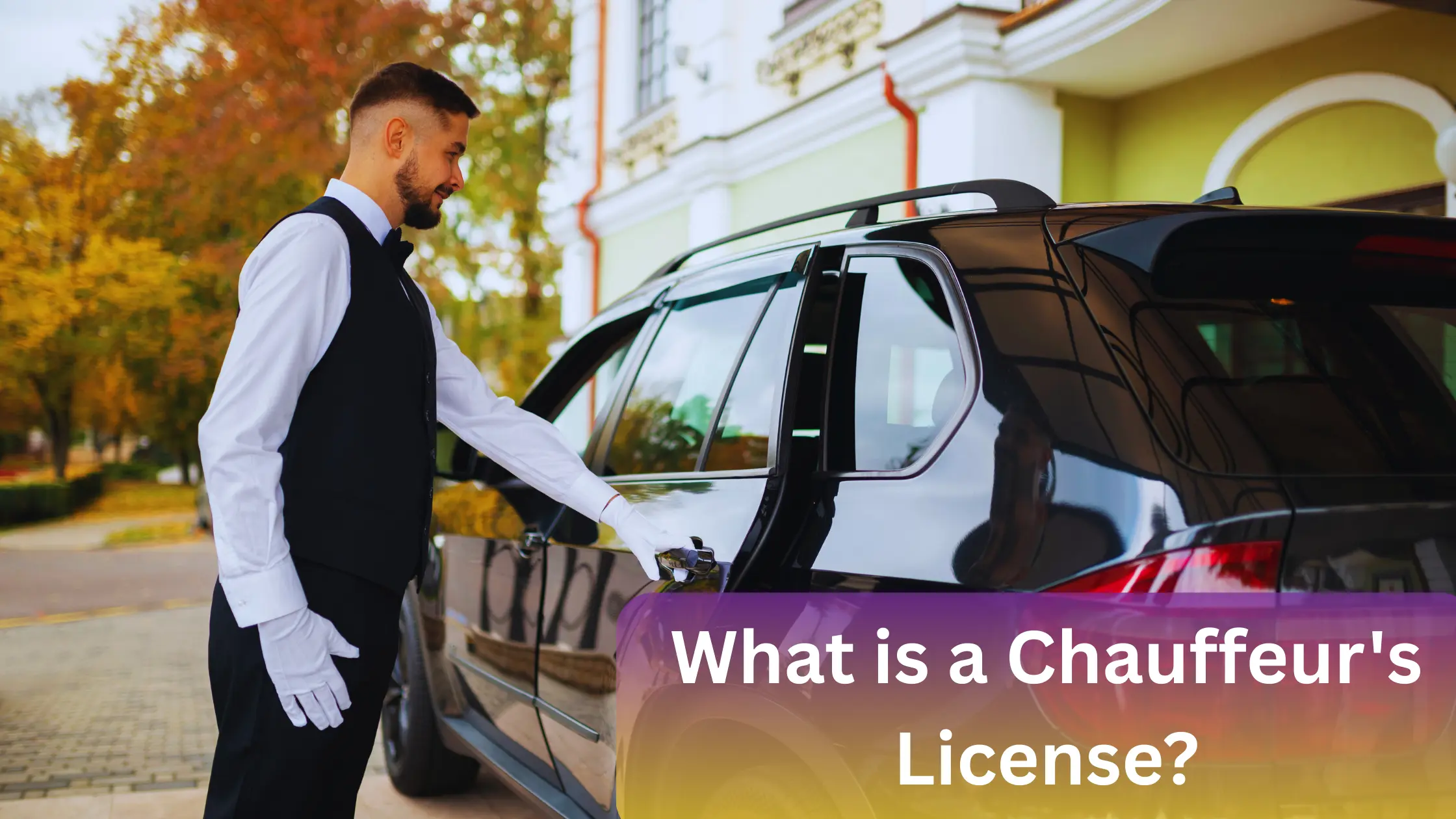 What is a Chauffeur's License?